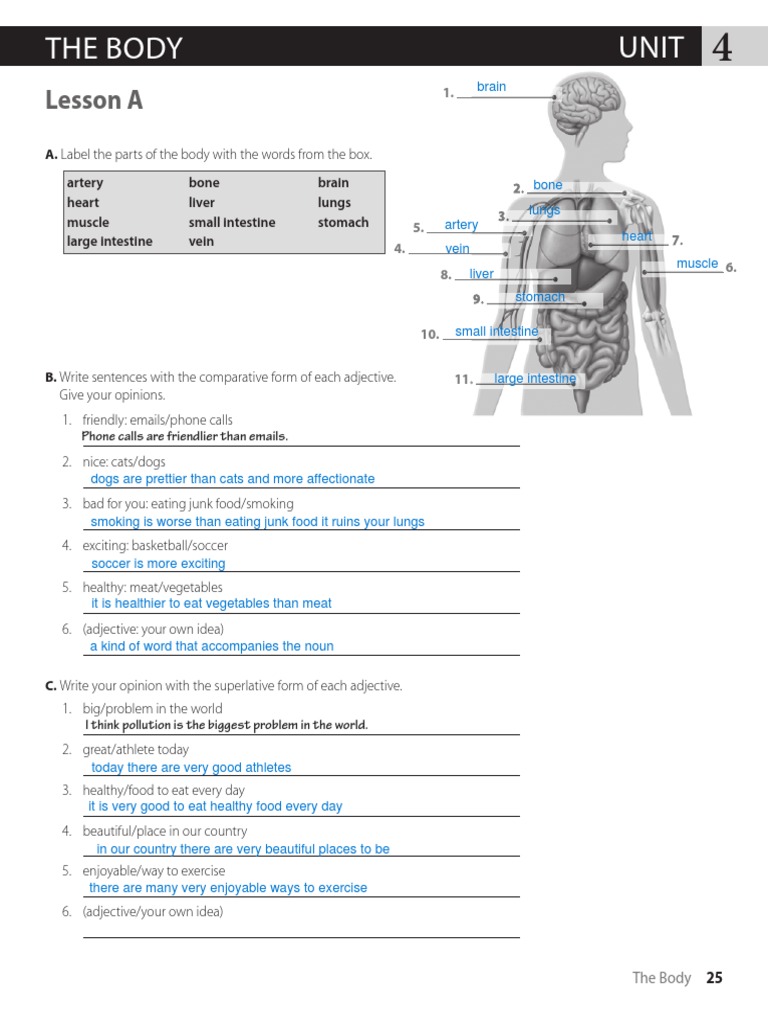 World English 2 - Workbook Unit 4 | PDF | Mount Everest | Adjective