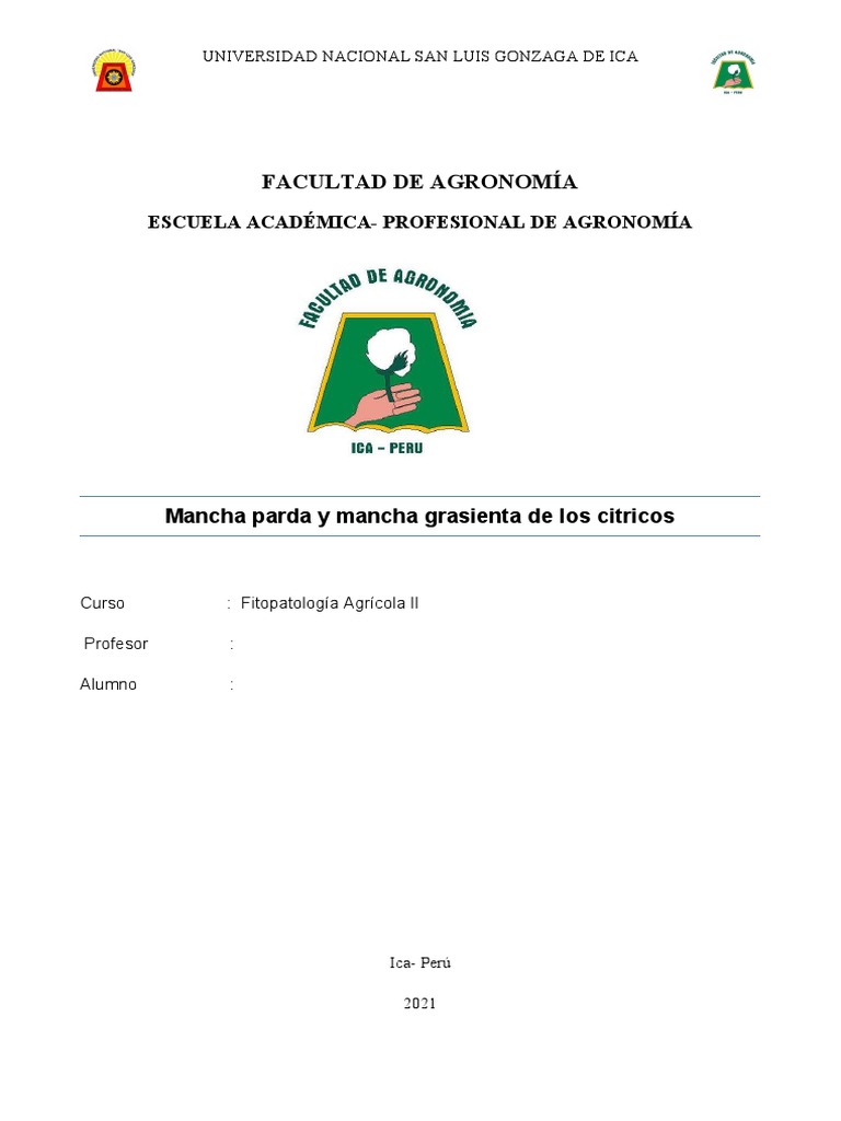 Mancha Grasienta y Parda | PDF | Patologia de planta | Hoja