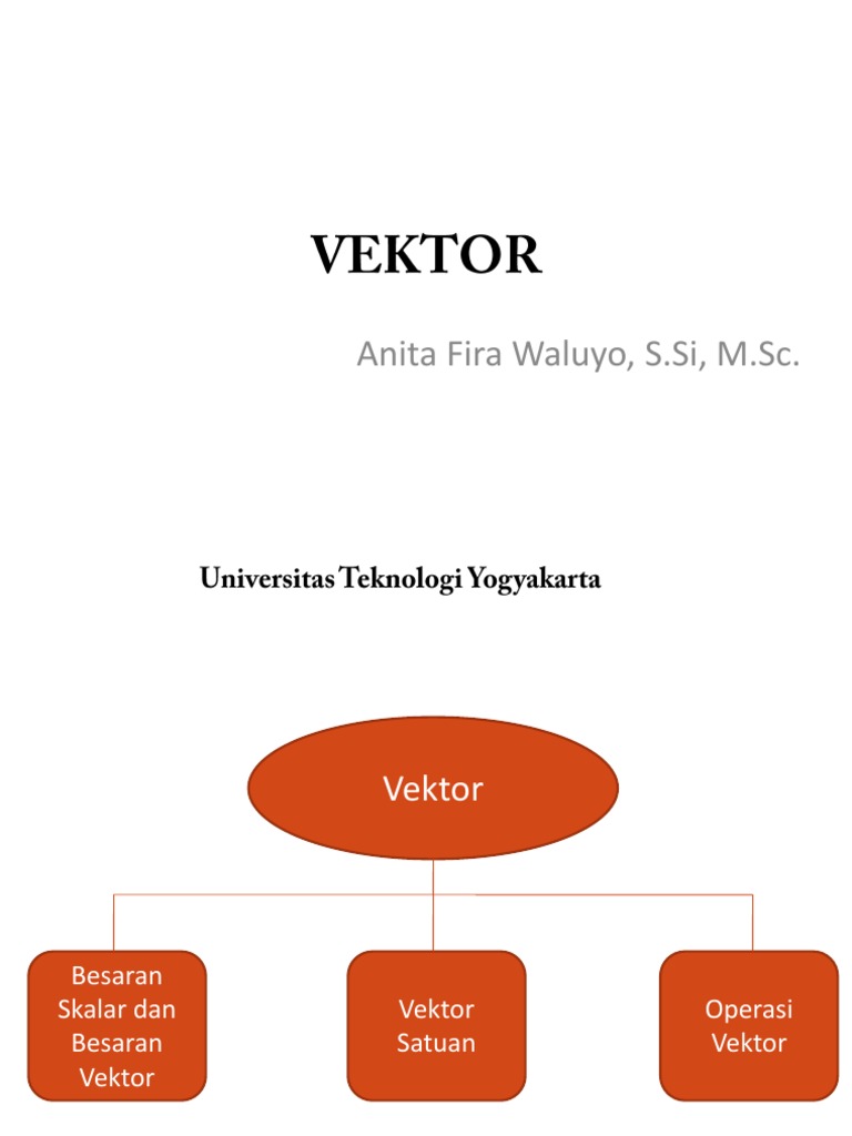 Vektor | PDF