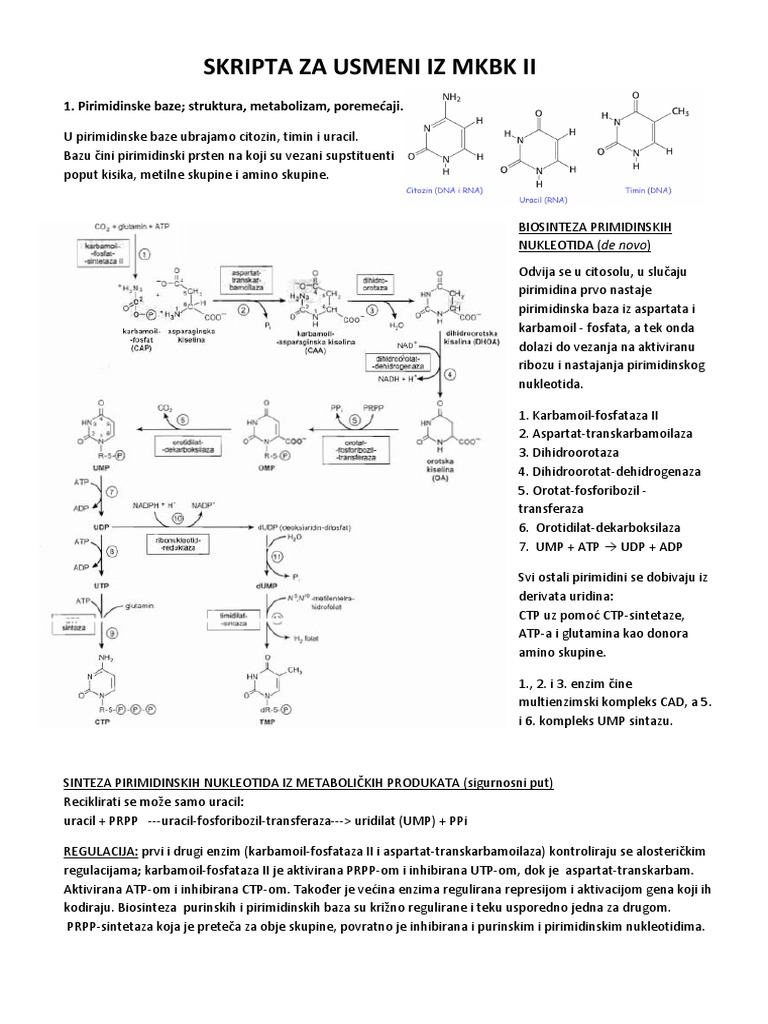 Skripta Po Pitanjima 1 | PDF