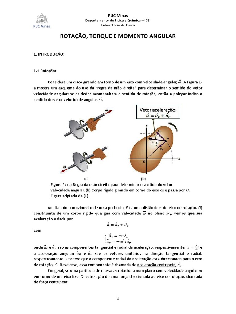 Roteiro Rotacao v1 | PDF | Torque | Rotação