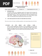 Anatomical Position Worksheet | PDF | Anatomical Terms Of Location ...