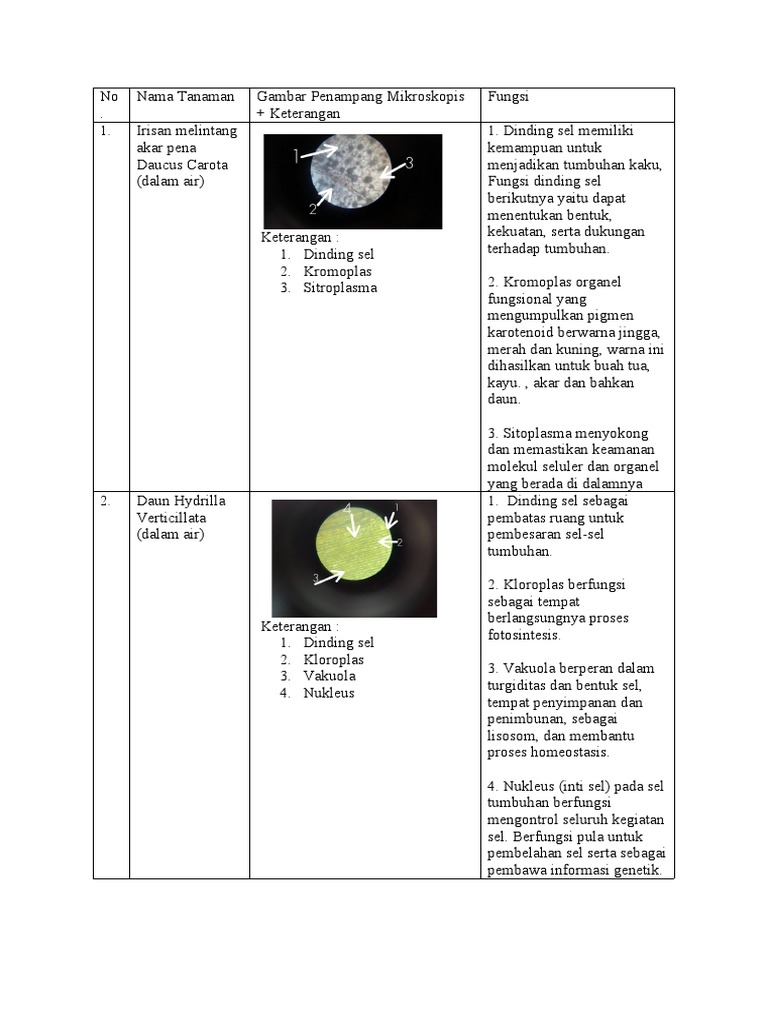 1 | PDF | Griya & Taman | Kesehatan Holistik
