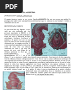 Anatomía y Fisiología Anorectal | PDF | Recto | Sistema digestivo
