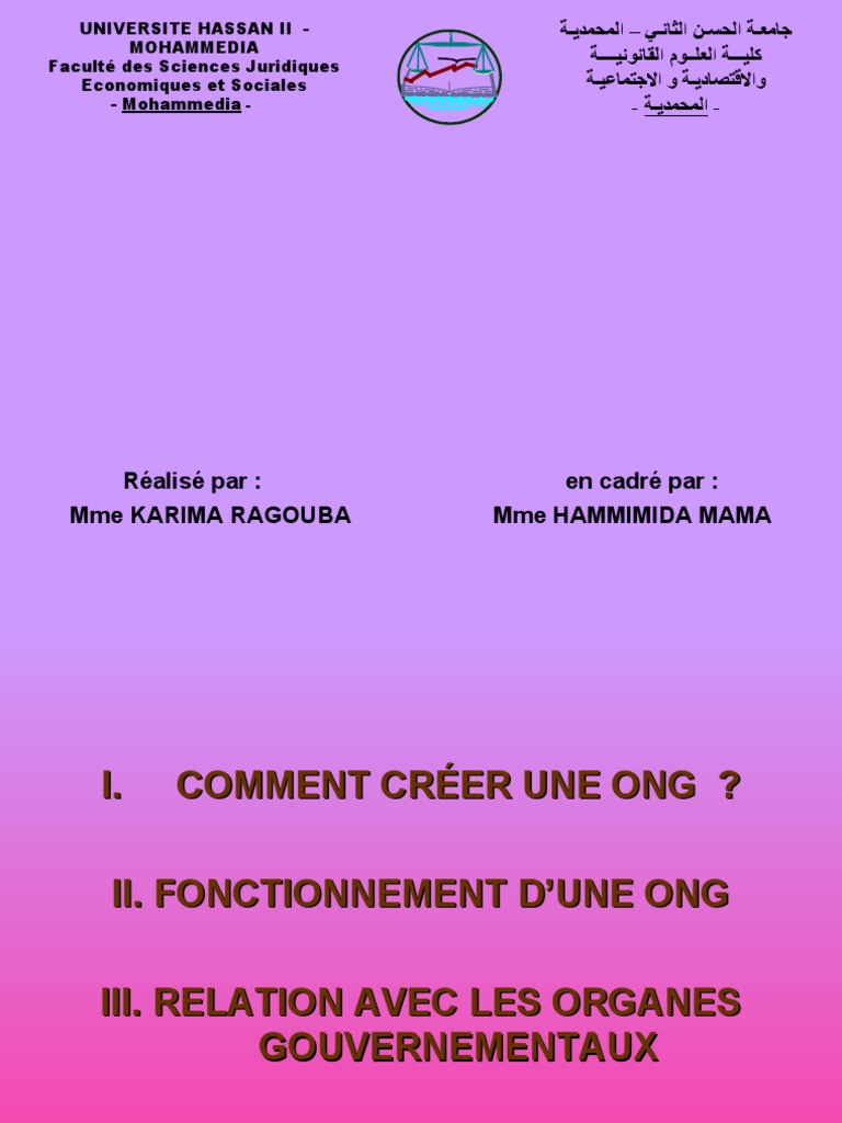 Créer et gérer une ONG efficacement | PDF | Organisation non ...