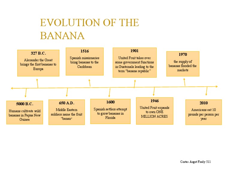 History of Bananas: Key Milestones | PDF