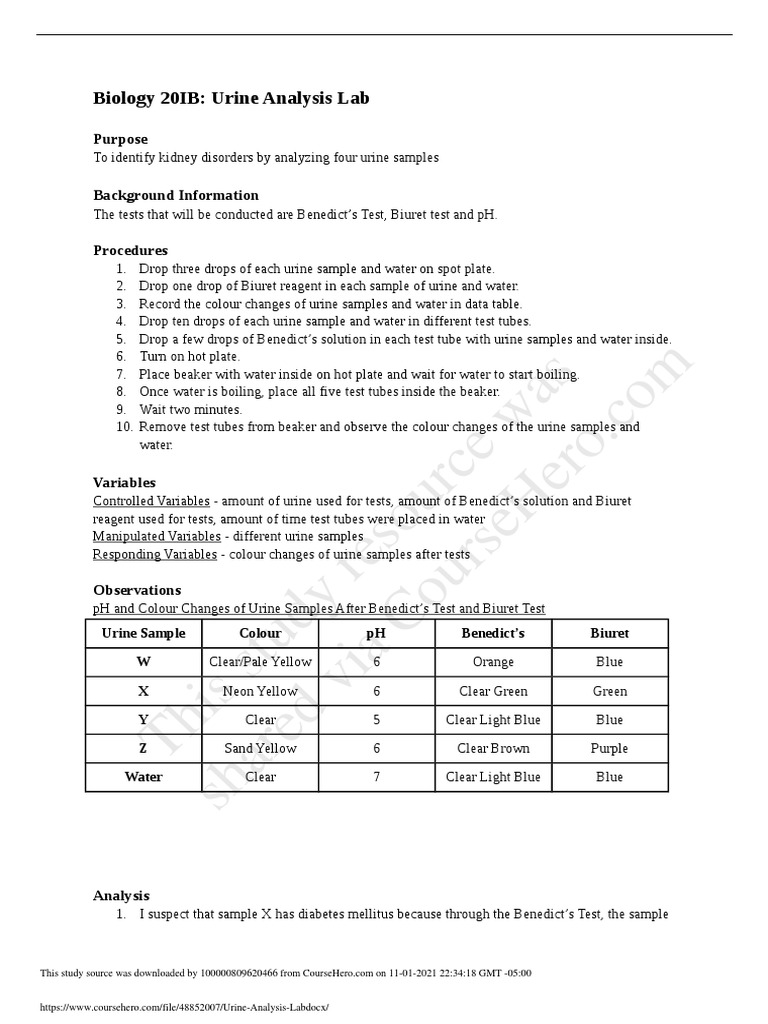 Urine Analysis Lab | PDF | Kidney | Diabetes