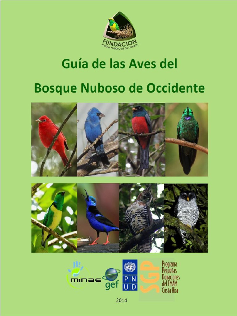 Guia De Aves Pdf Aves Ornitología