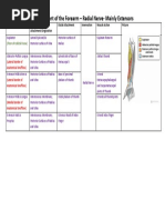 Muscle Tables of The Upper Extremities From Netter's | PDF | Thumb | Arm
