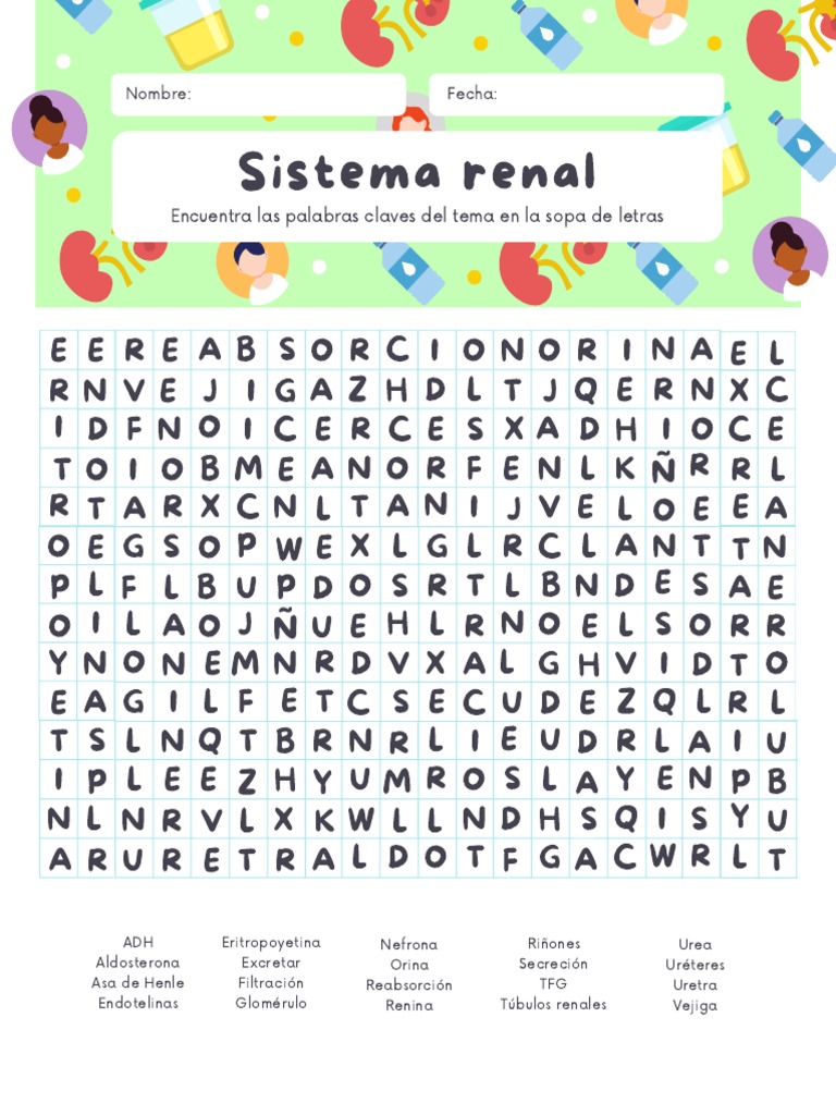 Sopa de Letras Del Sistema Renal | PDF