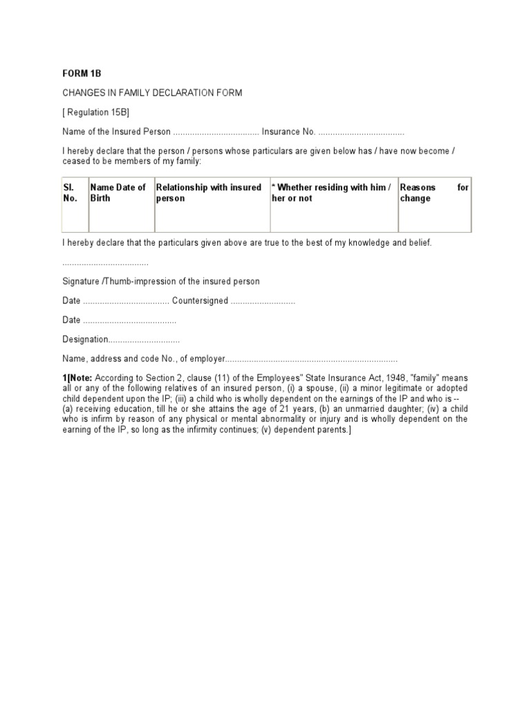 Family Declaration Form 1B Guidelines | PDF