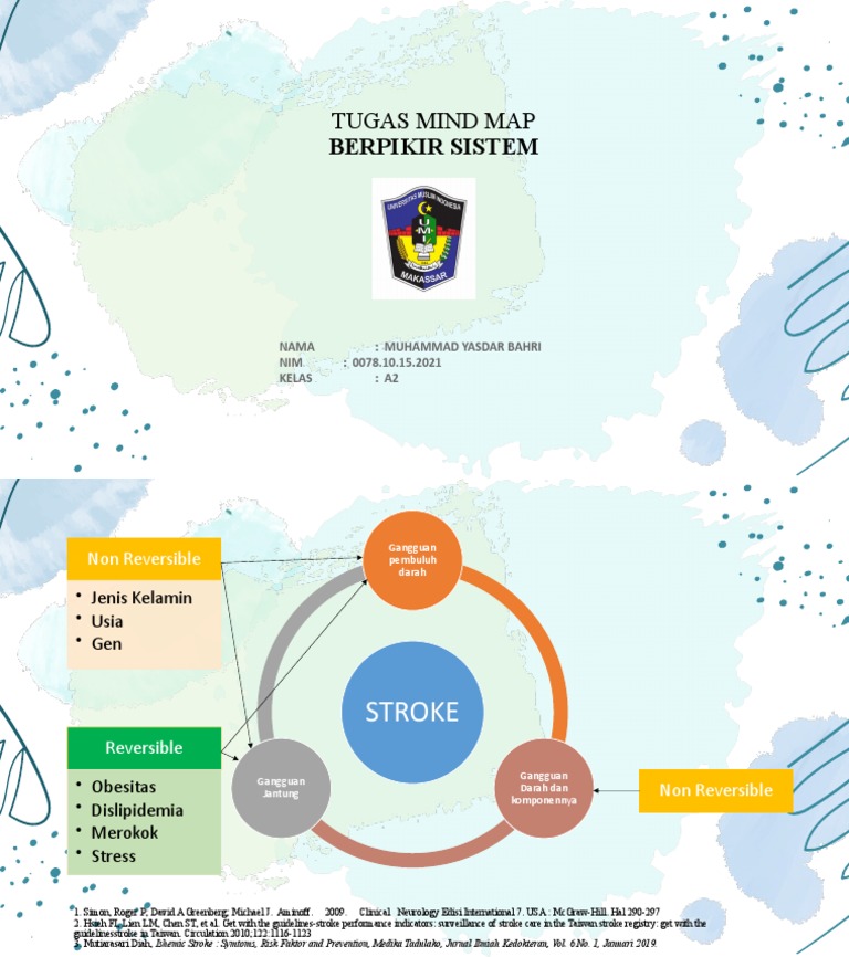 Mind Map of Stroke Factors | PDF