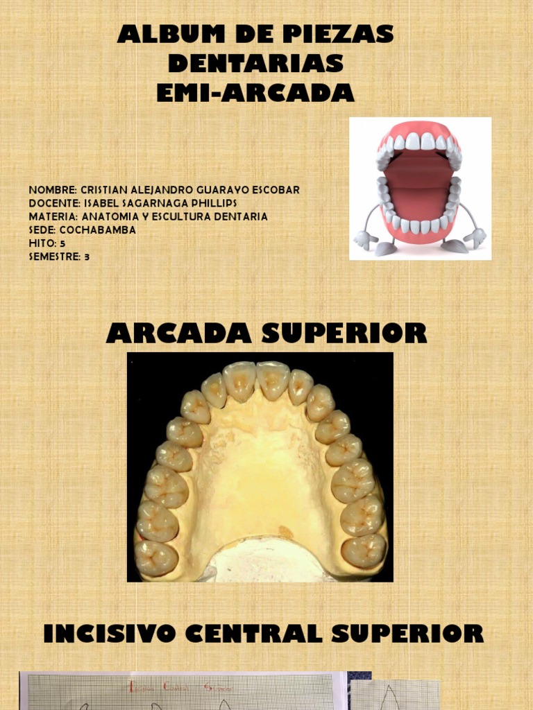 ALBUM DE PIEZAS DENTARIAS EMI-ARCADA Completo | PDF