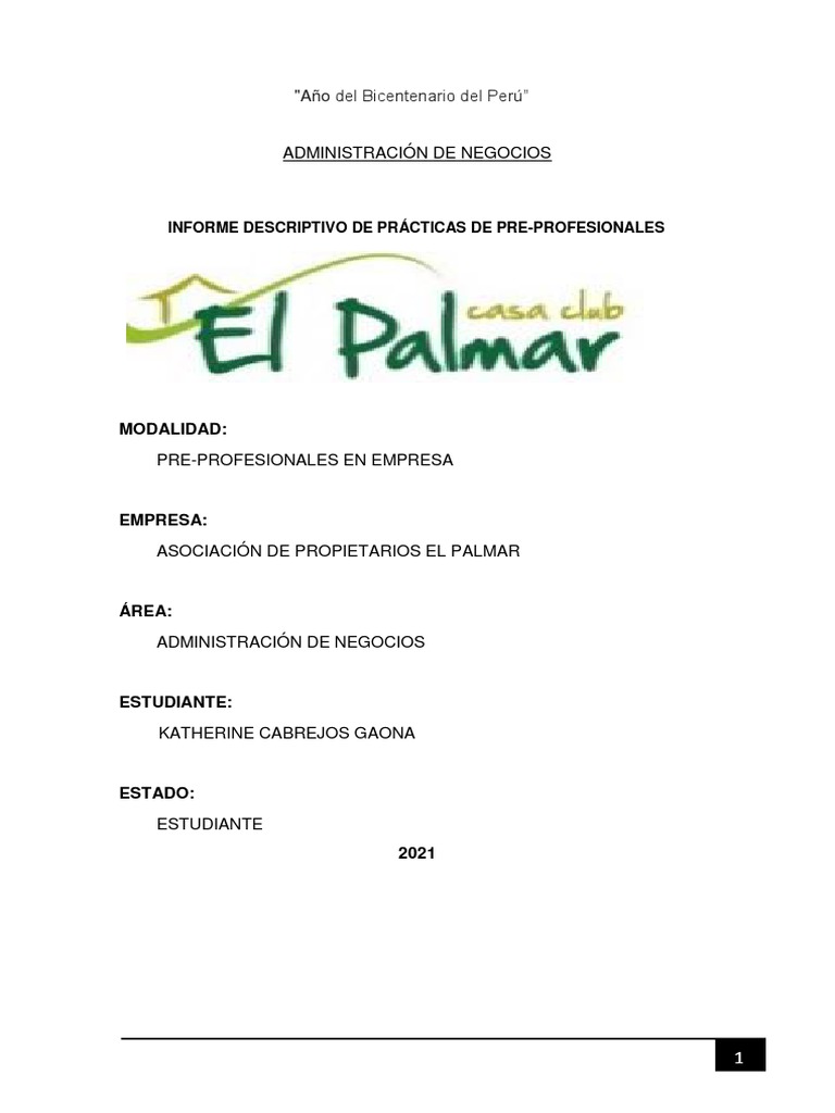 Informe Descriptivo | PDF | Logística | Economias