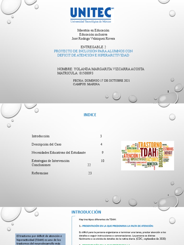 Entregable 2 Proyecto de Inclusión Tda | PDF | Desorden hiperactivo y deficit de atencion ...