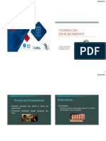 Teoria de La Continuidad | PDF