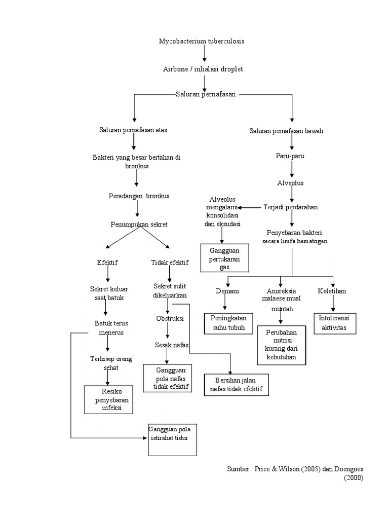 Pathway TB Paru | PDF