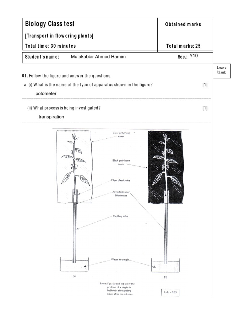 Biology Class Test: Obtained Marks (Transport in Flowering Plants ...