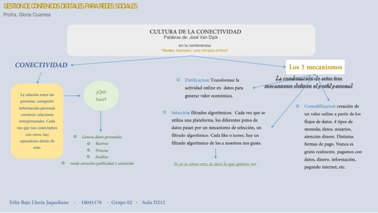 Mapa Conceptual - Conectividad | PDF