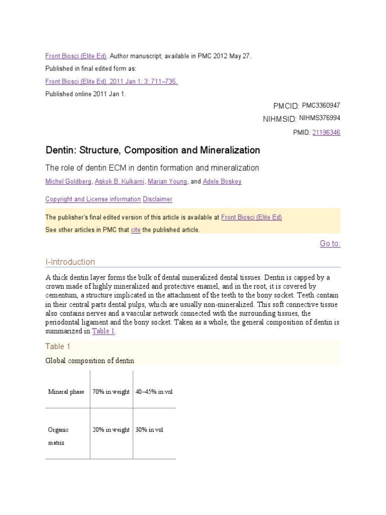 Dentin Structure, Composition and Mineralization | PDF | Dentin ...