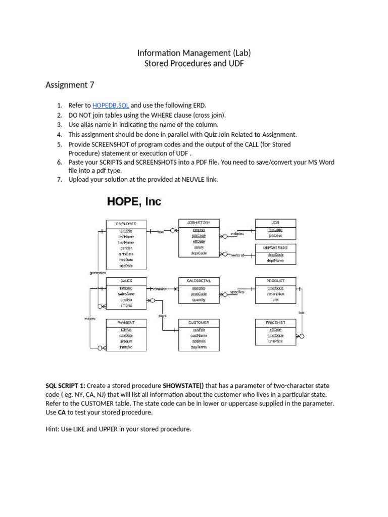 Assignment 7 Stored Procedure and UDF | PDF