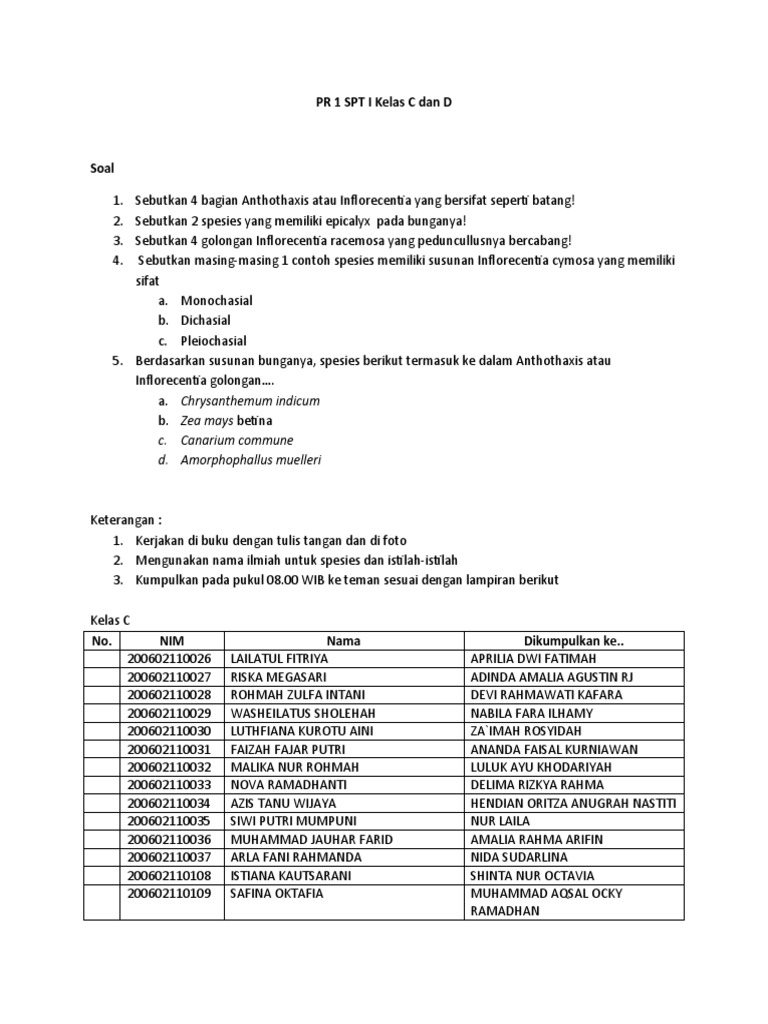 Pr1Sptikelascdand: C. Canarium Commune D. Amorphophallus Muelleri | PDF