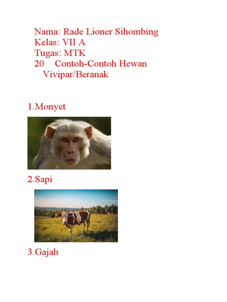 20 Contoh Hewan Vivipar Beranak | PDF