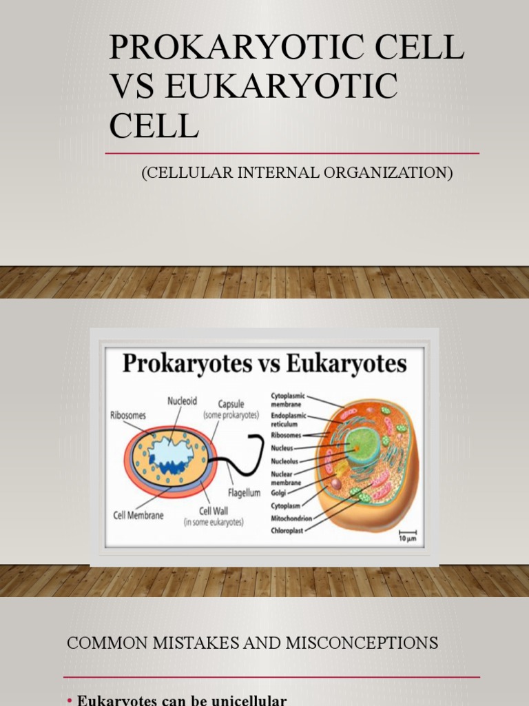 Prokaryotic Cell Vs Eukaryotic Cell | PDF | Cell (Biology) | Prokaryote