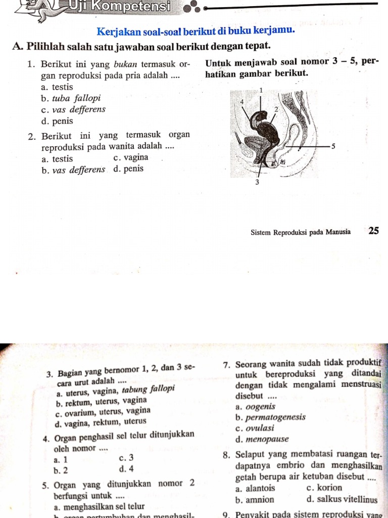 Reproduksi Manusia Latsol | PDF