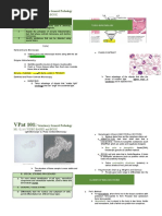 Kcse 2024 Bio Pp1 Ms - Code 01 | PDF | Cellular Respiration | Flowers