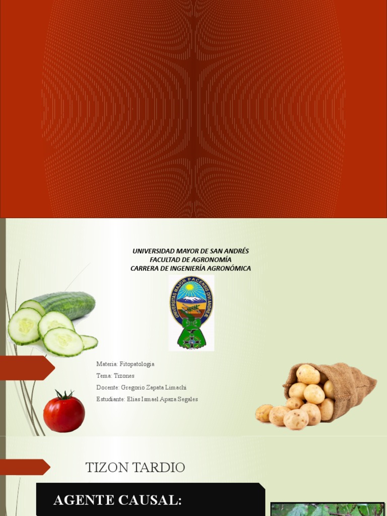 Tizones | PDF | Plantas | Botánica