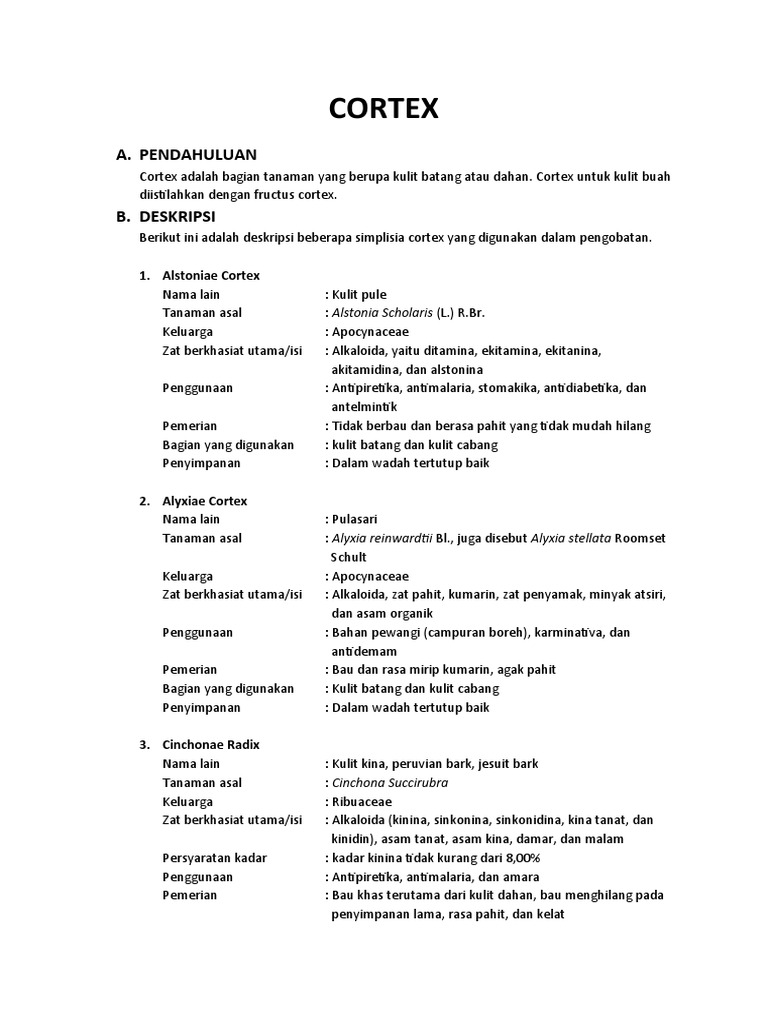 Cortex | PDF