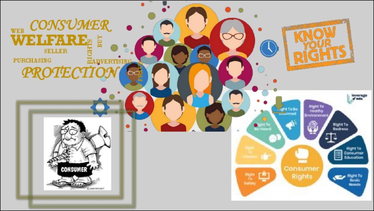 Consumer Welfare | PDF