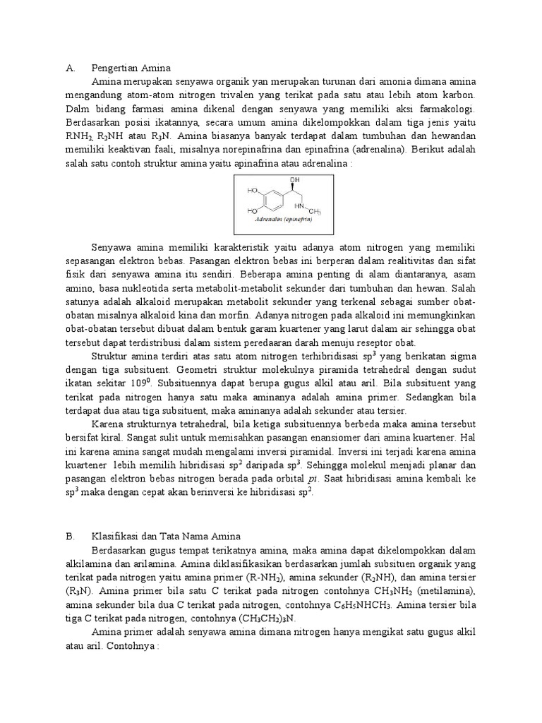 Pengertian Amina | PDF