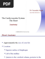 Structure of human heart PPT | PDF