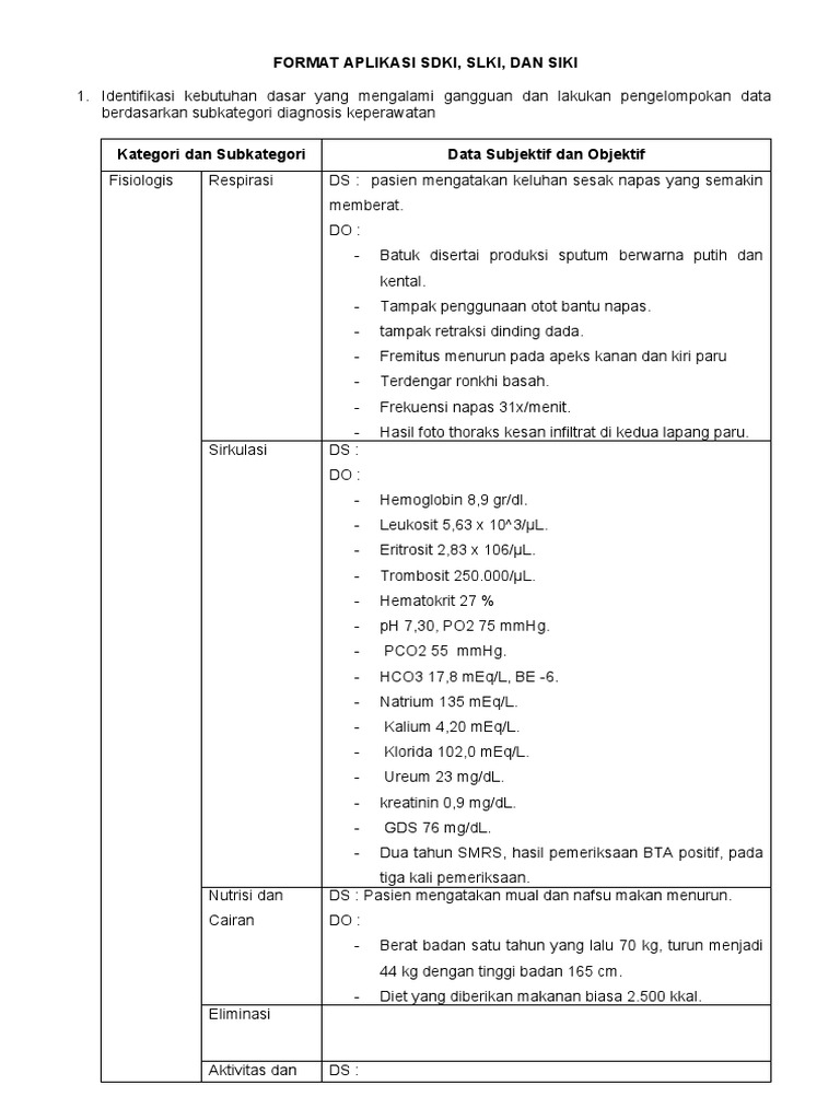 Format Aplikasi Sdki, Slki, Dan Siki | PDF