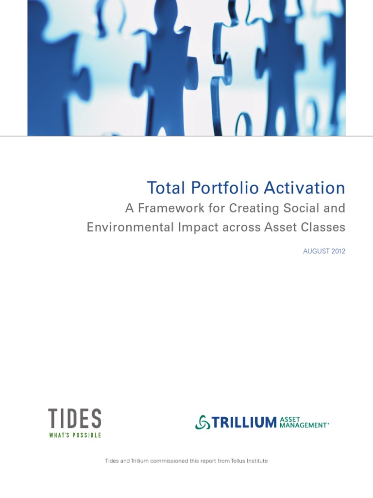 Total Portfolio Activation | PDF | Investor | Investing