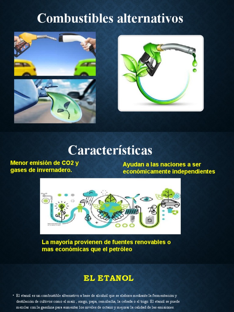 Opciones de Combustibles Alternativos | PDF | Biodiésel | Combustibles