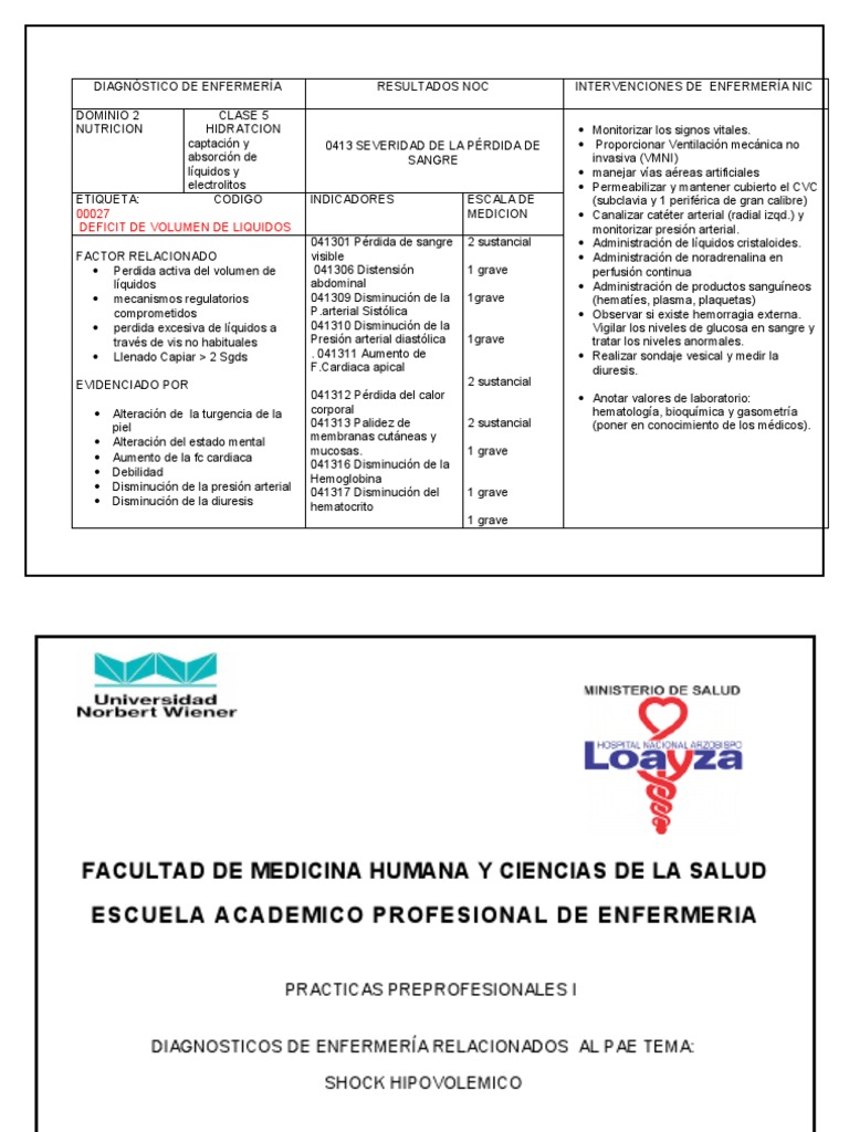 10 Dx De Enfermeria Pdf Presión Sanguínea Dolor