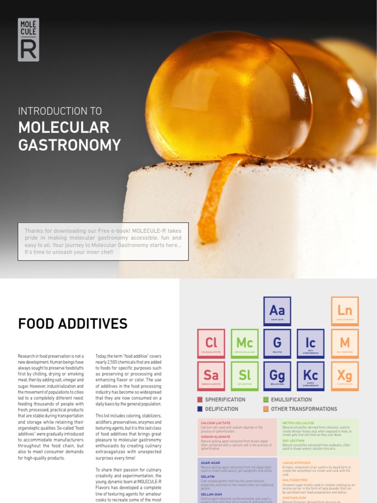 Molecular Gastronomy: Introduction To | PDF | Food Ingredients | Food ...