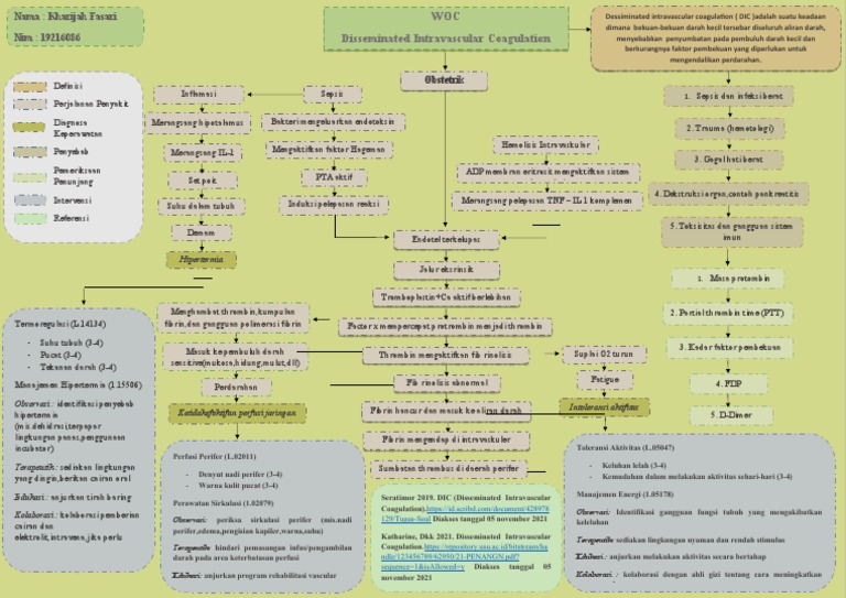 WOC (DIC) - Kharijah Fasari | PDF