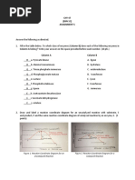 Pogil - 6 Enzymes and Cellular Regulation | PDF | Enzyme | Polymerase ...
