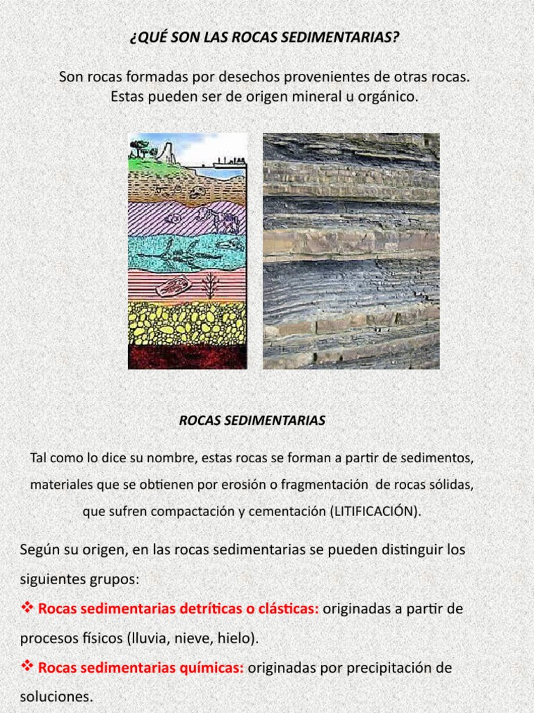 Unidad IV Rocas Sedimentarias y Metamórficas - 2018 | PDF | Roca ...