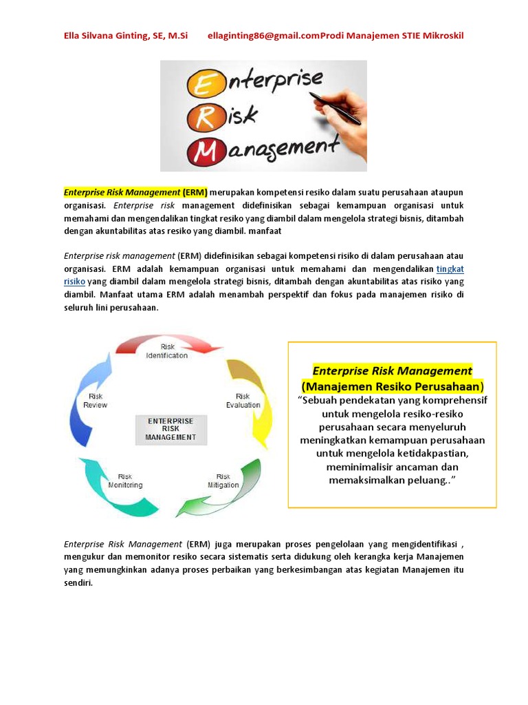 Enterprise Risk Management | PDF