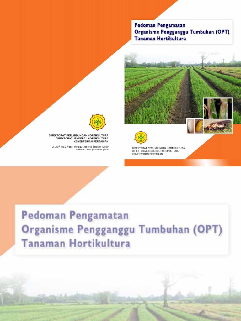 Pedoman Pengenalan Dan Pengendalian OPT Tanaman Hortikultura | PDF