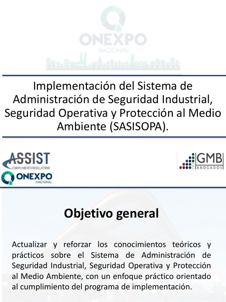 Implementacion Del Sasisopa | PDF | Realimentación | Sistema