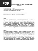 Reacción de Hill en Fotosíntesis | PDF | Fotosíntesis | Metabolismo
