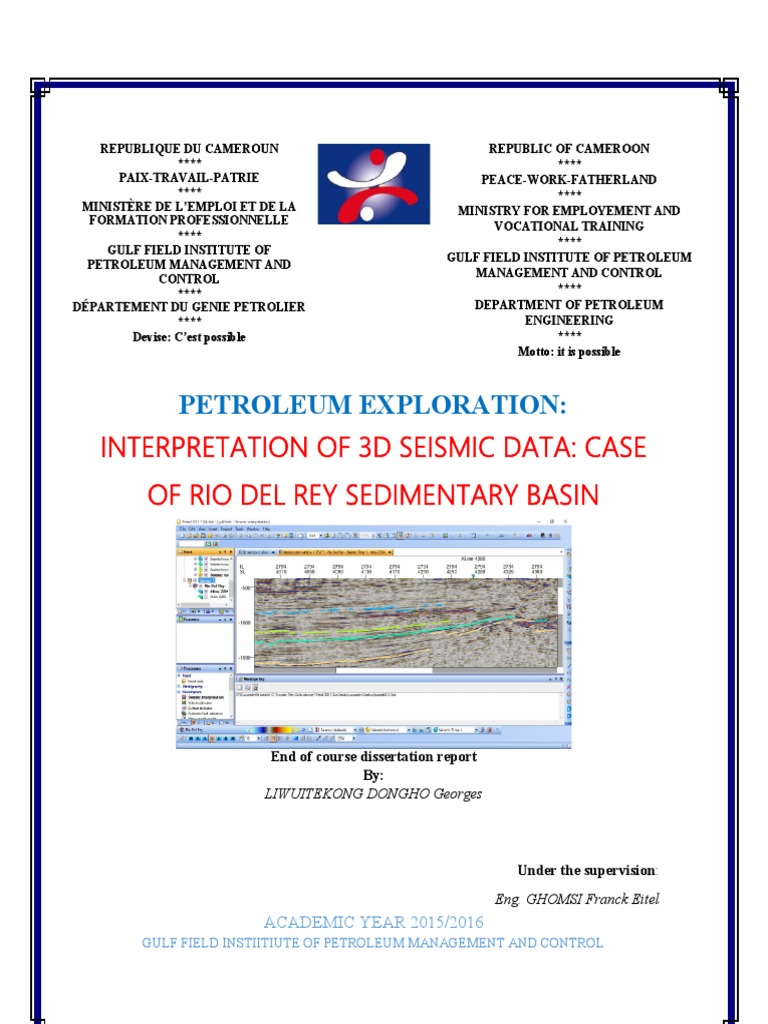3d Seismic Data Interpretation Horizons | PDF | Sedimentary Basin ...