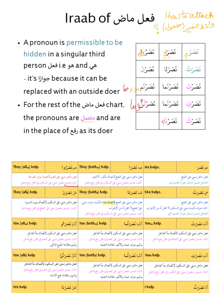 Arabic Verb Conjugation Guide | PDF