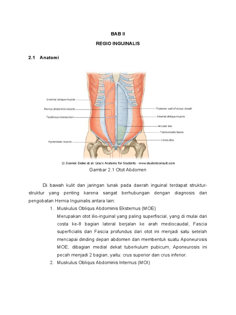 Referat Bedah Hernia Inguinalis | PDF